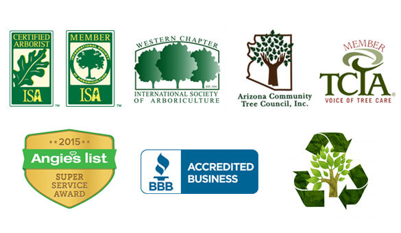 Tree Professional Certifiactions - The Tree Amigos