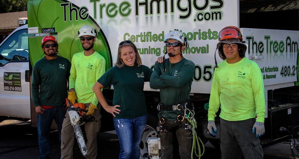 about-header - The Tree Amigos