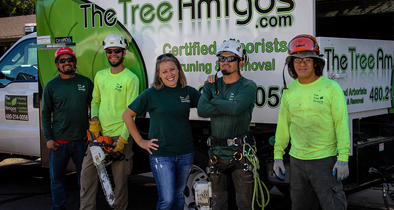 about-header - The Tree Amigos